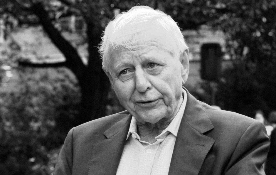 Tumulto - Literal Magazine